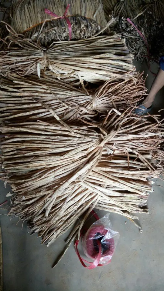 Water Hyacinth Fibres - Durable and Versatile Raw Material