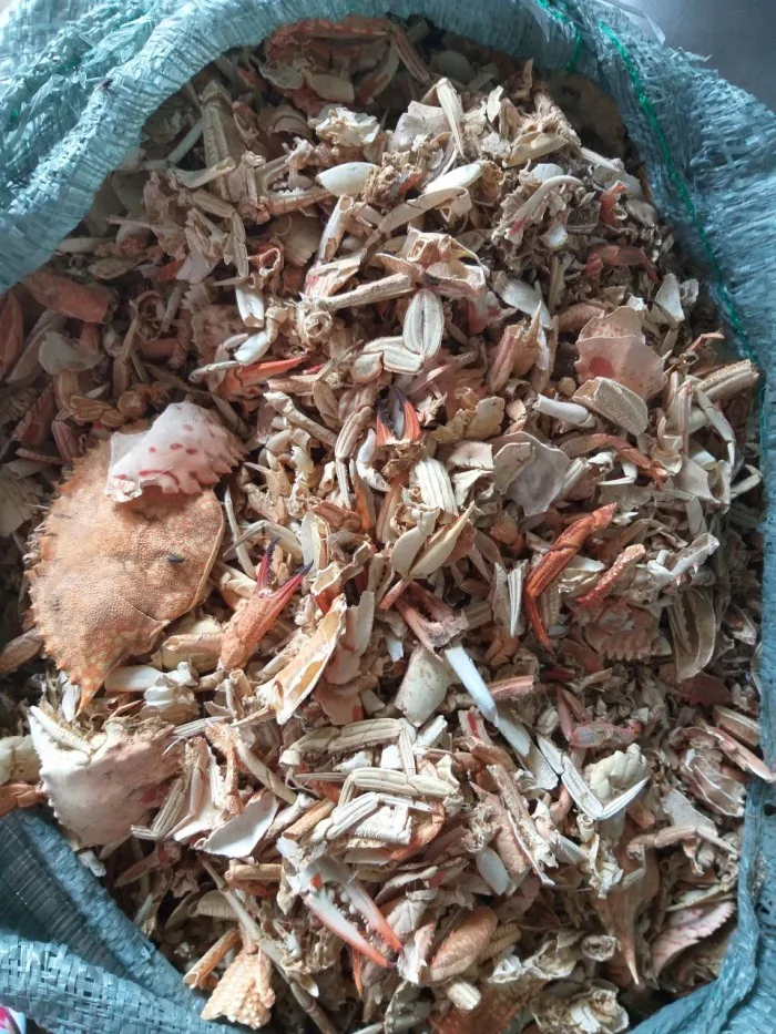 The Best Choice 2024 Crab Shell From Vietnam With Best Price And High ...