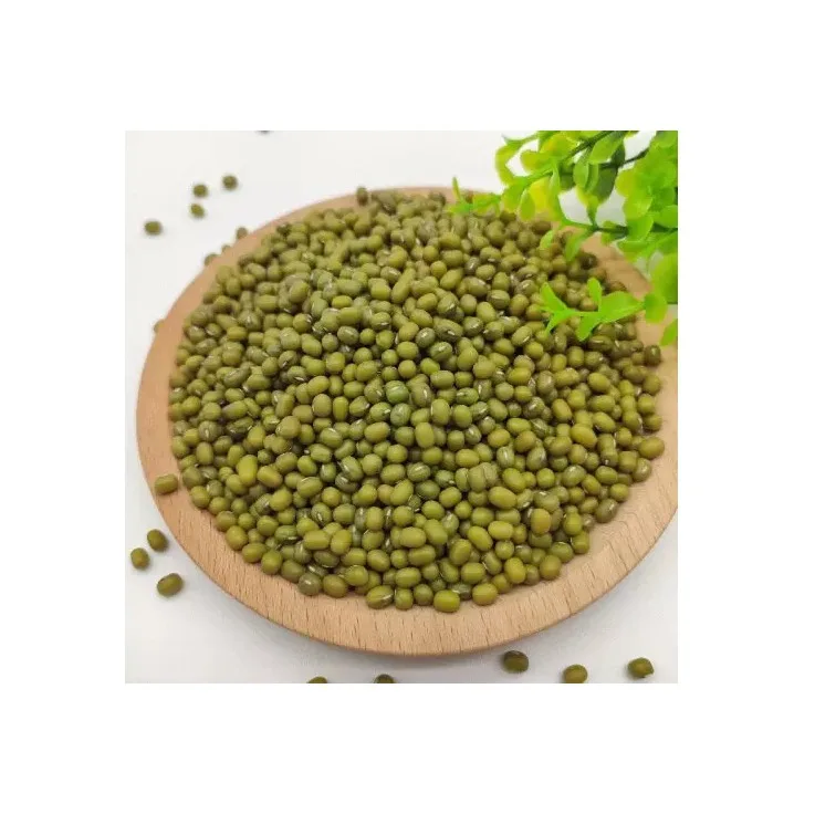 Dried Mung Bean/moong Dal Seed/sprouting Seeds Mung Bean Myanmar Origin ...