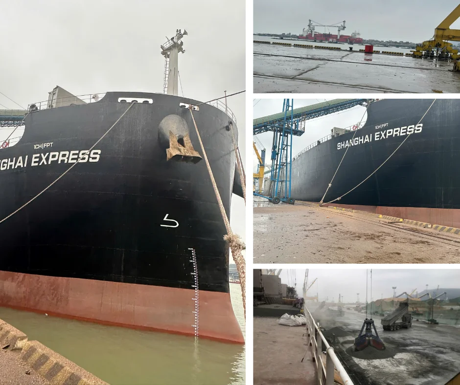 CEM II 42.5N - ATZ Portland Cement cheap price good quality and OEM ...