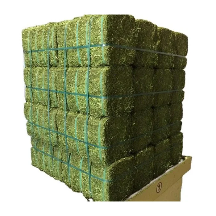 Quality Alfalfa Hay Bays / Alfafa Pellets / Dehydrated Alfalfa Cubes ...