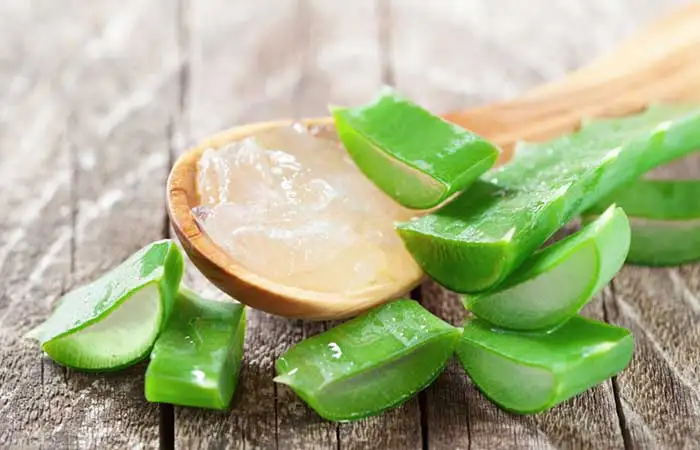 Best Price Premium Quality Frozen Aloe Vera From Vietnam Export in Bulk ...