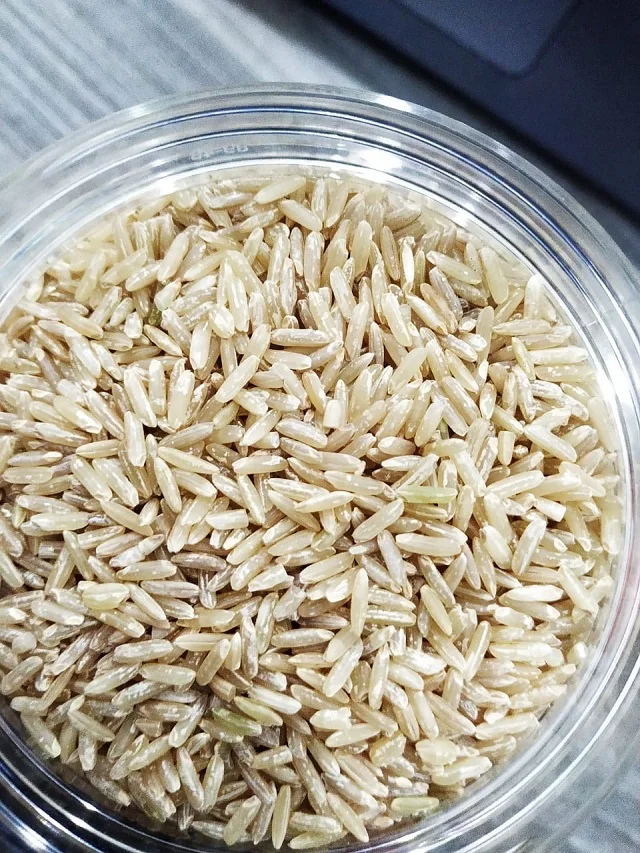 Vietnam Long Grain Brown Rice Supplied By Vietnam Rice Supplier Jcc ...