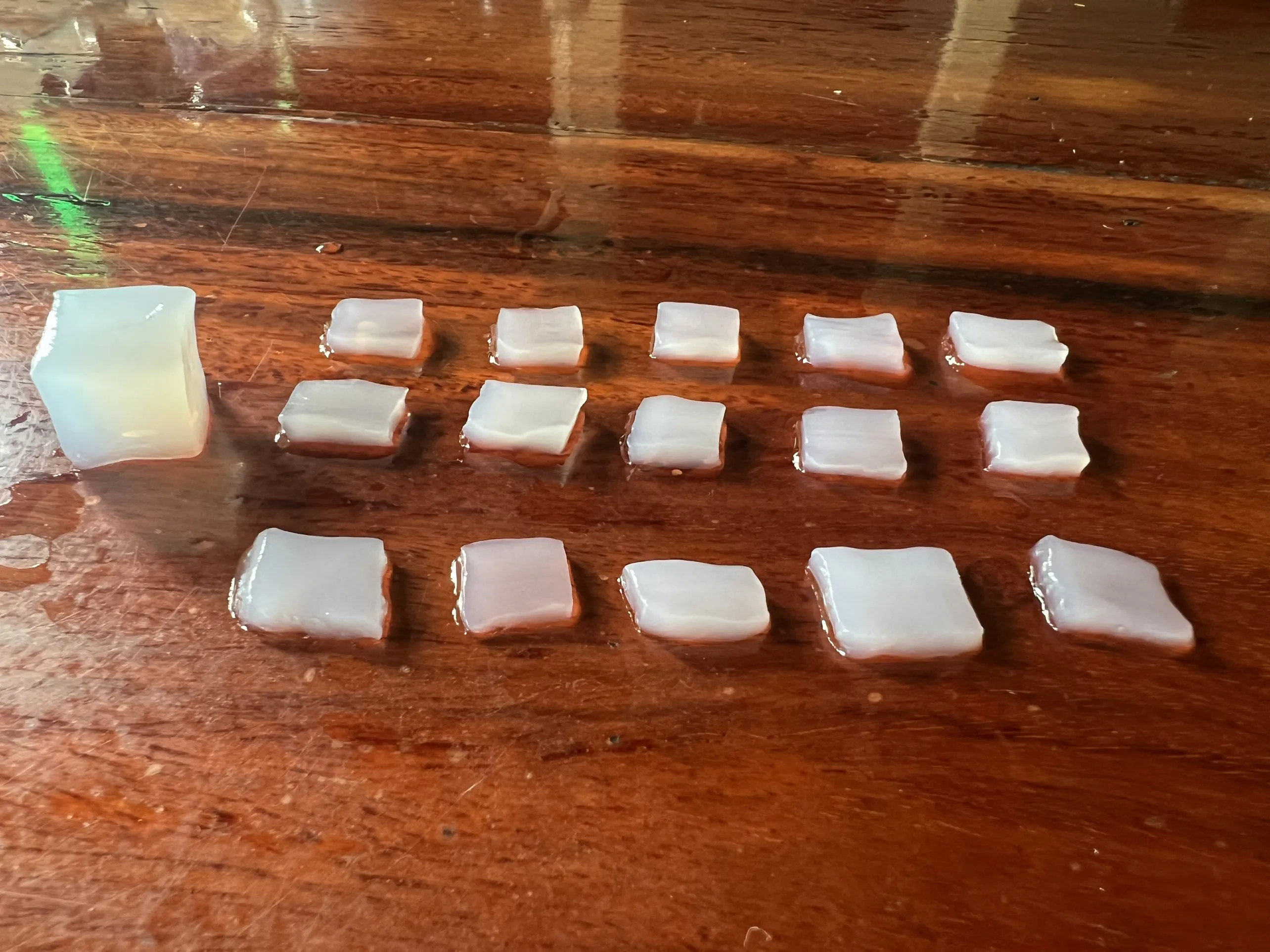 RAW Nata De Coco Coconut Jelly in Syrup Random Free Regular Shape Size ...
