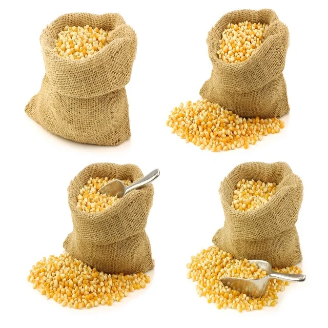 Yellow Dried Corn And White Corn 800 Tons In 50kg Bags - Buy Yellow ...