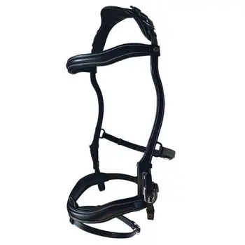 Anatomic Bridle Has Been Developed With Equestrian Health Professionals ...