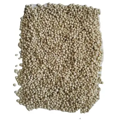 Sorghum Seed Red Sorghums Grain Seeds White Juvar Grains Bulk Price For ...