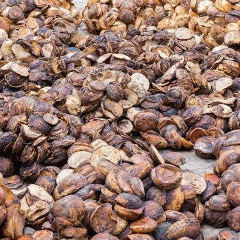 Natural Rubber Cup Lump - Buy Natural Rubber Cup Lump Product on ...