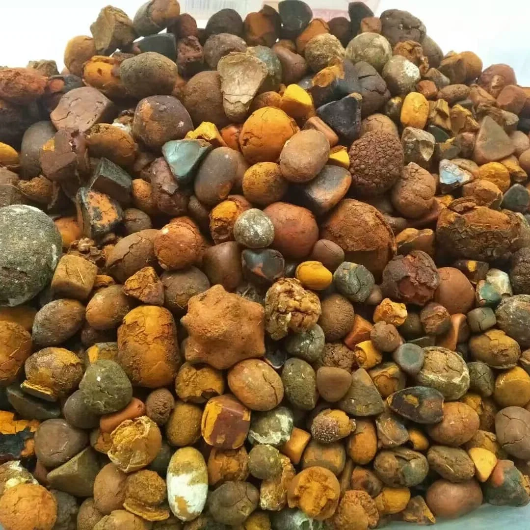 Best Supplier Ox Gallstones, Cattle Gallstones, Cow Gallstones with ...