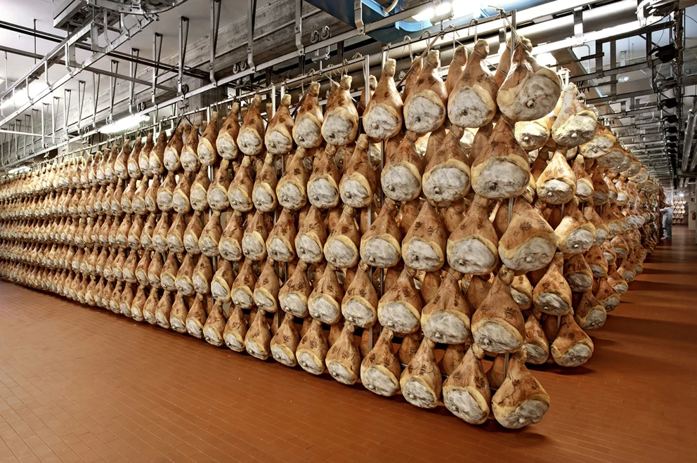 High Quality Cotto & Parmigiano 250 Gr Cooked Ham and Italian DOP ...