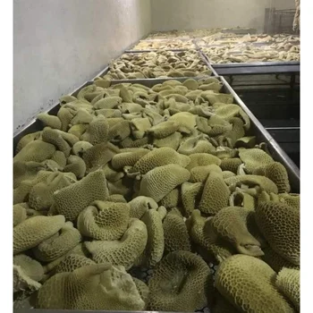 Fresh Frozen Buffalo Beef Tripe With Honeycomb - Buy Beef,Beef Tripe ...