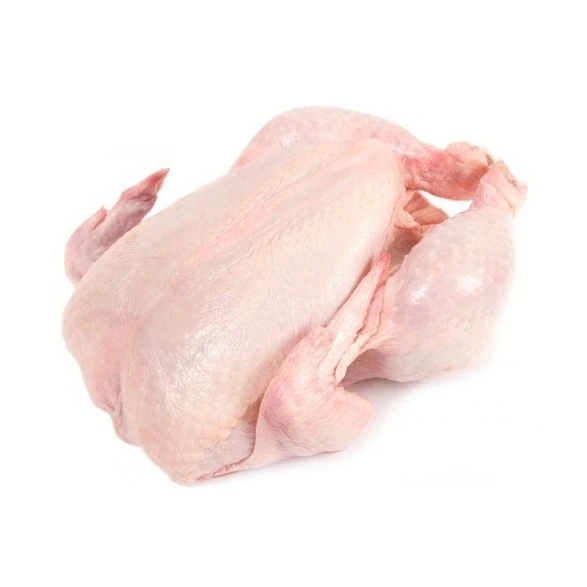 Fresh Frozen Chicken Whole And Parts Premium Top Quality For Sale ...