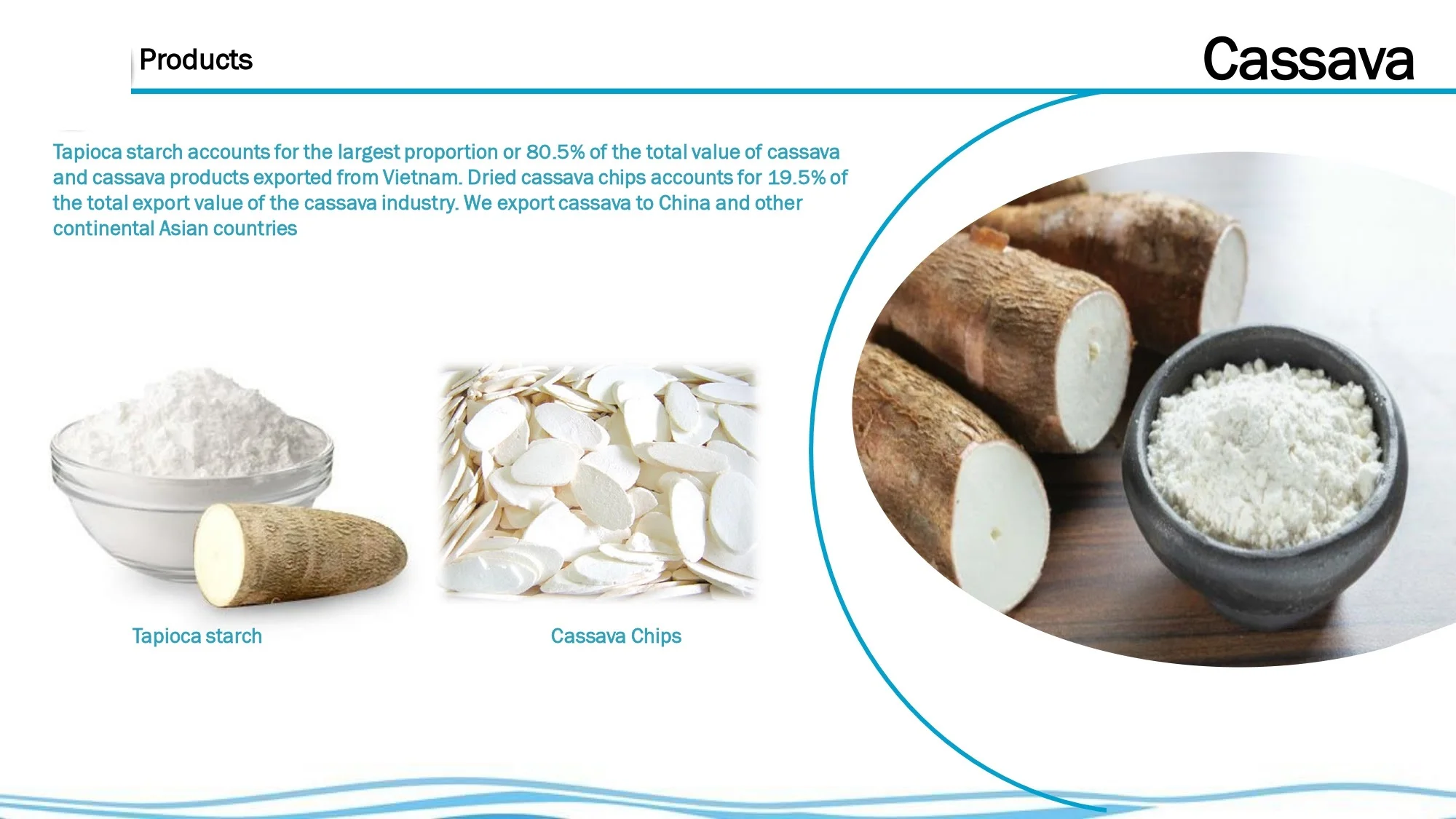 Tapioca Starch Pregelatinized Starch Modified Tapioca Starch Tapioca Starch Cassava Starch