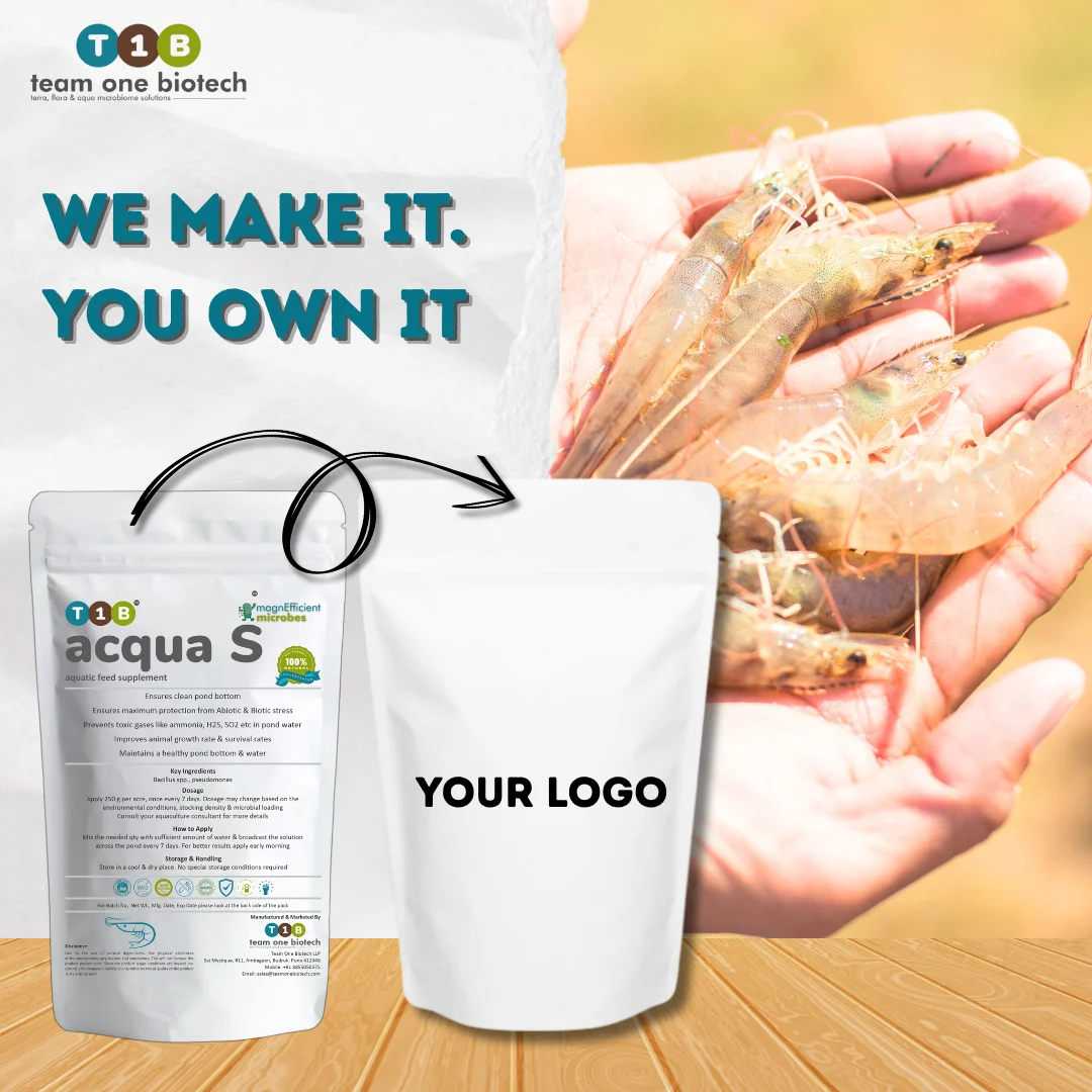 Pathogen-Free Shrimp Culture Solution Probiotic Water Additive| Alibaba.com