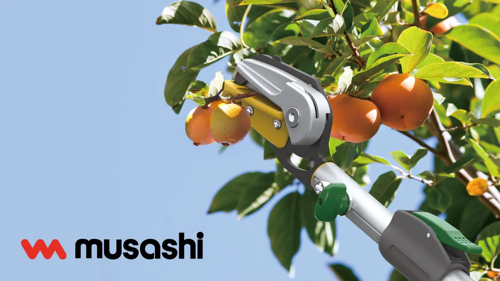 Musashi Telescopic Tree Pruner Long Reach Cut And Hold Bypass Anvil ...