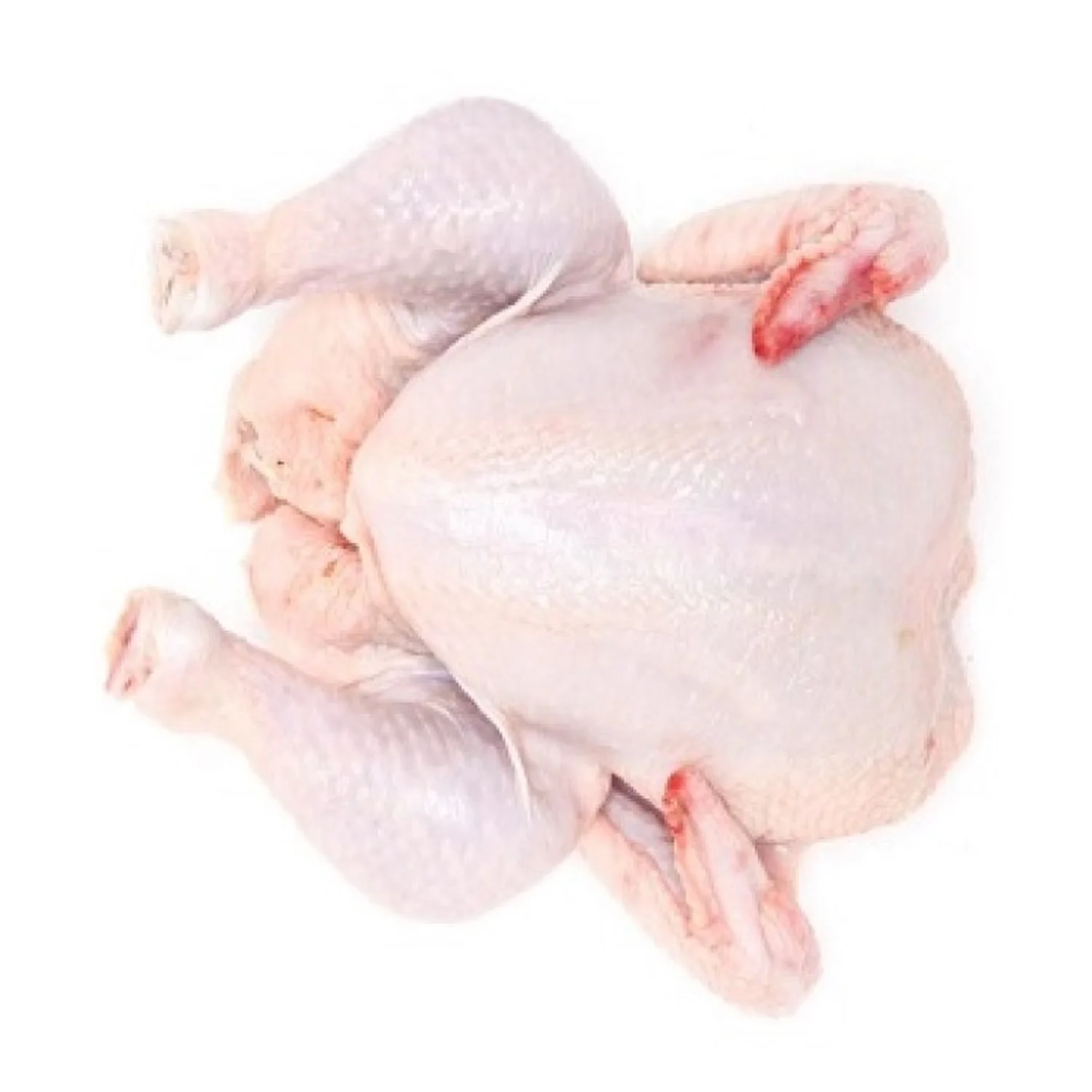 Halal Frozen Whole Chicken,Frozen Chicken Paws Frozen Processed Chicken ...