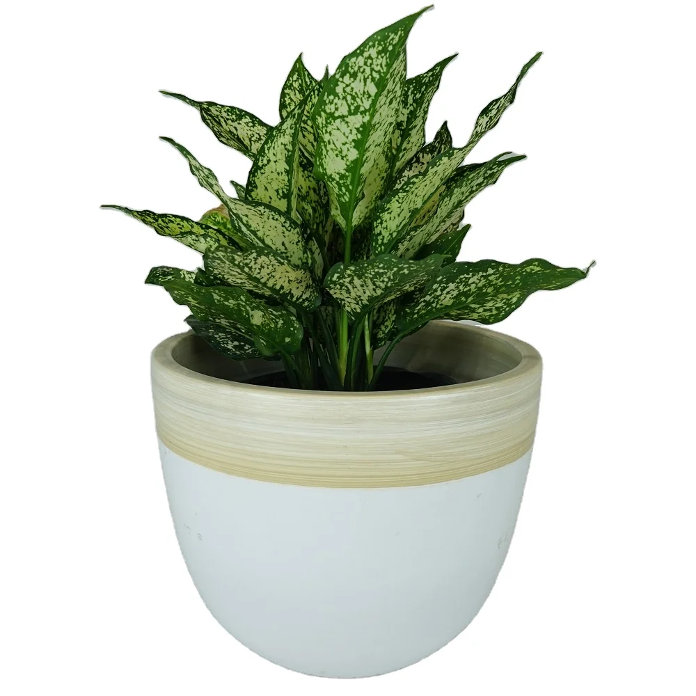 来样定做服务锥形地中海赤土白色设计陶瓷花盆 & 花盆绘画陶瓷 - Buy 锥形cr31tps3地中海兵马俑锥形花盆陶瓷盆,白色设计越南陶瓷花锥形花盆陶瓷盆室内植物,花盆播种机绘画陶瓷收藏锥形 ...