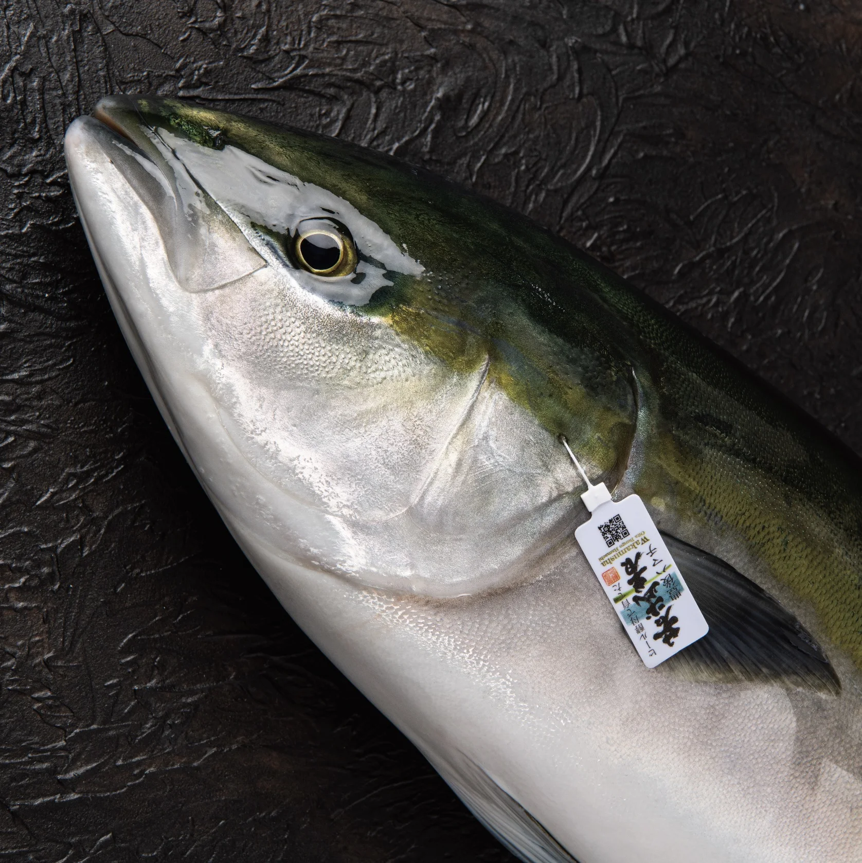 Yellowtail Jack Fillet