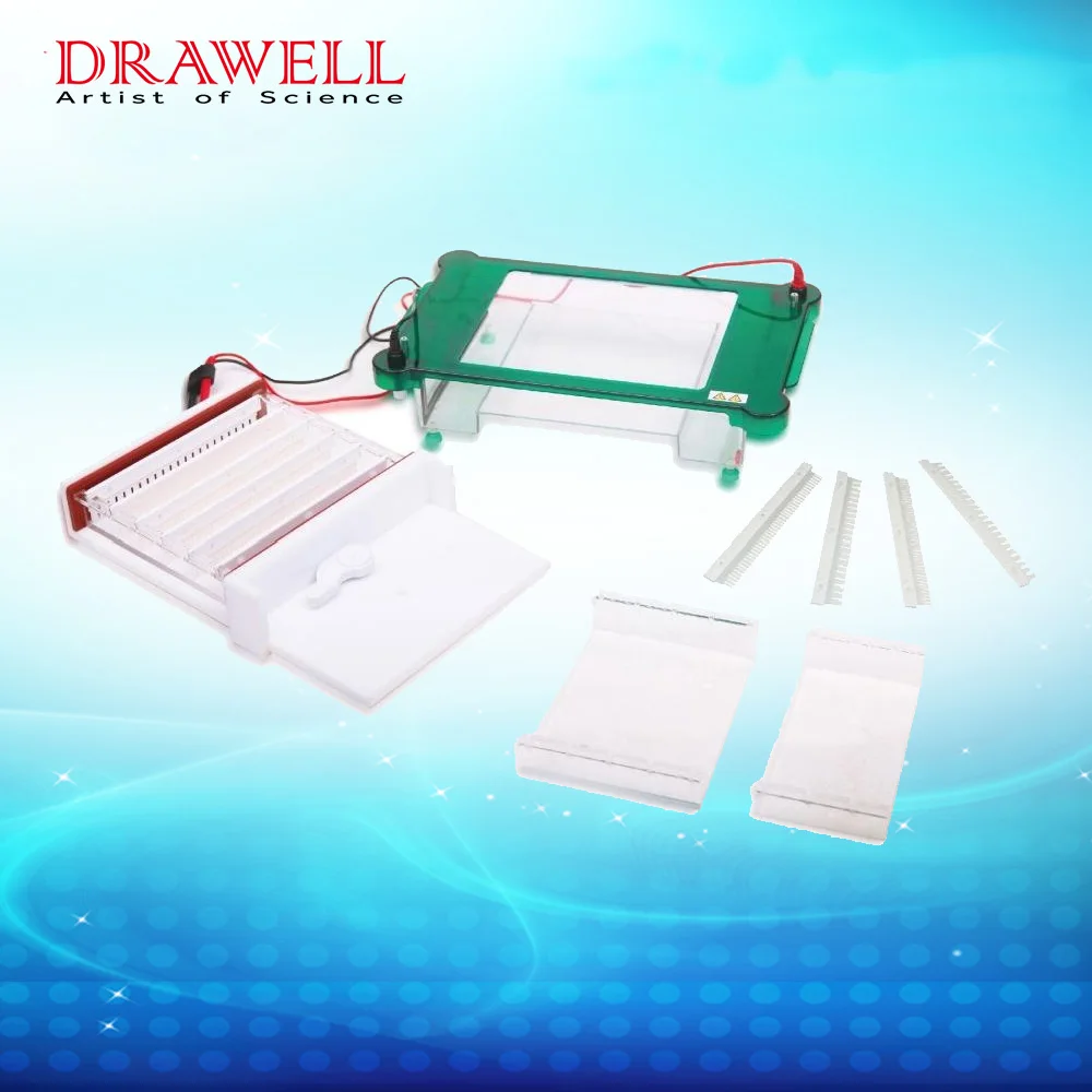 Dw-spgt Drawell Protein Gel Electrophoresis Tank System Horizontal ...