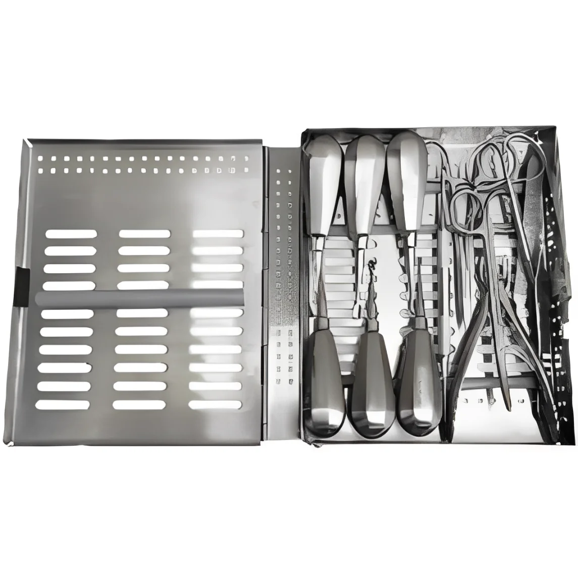 13 Piece Dental Extraction Set for Small Animals | Veterinary Dental ...