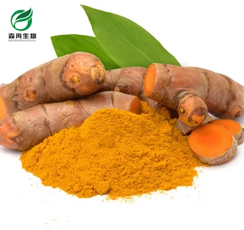 Hot Sale Natural Anti-inflammatory Turmeric Extract Powder Curcumin 95% ...
