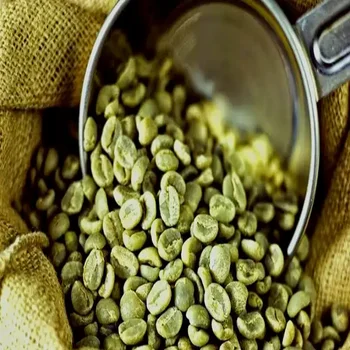 Natural Thailand Robusta Green Coffee Beans Unwashed S18 Whole Sale ...