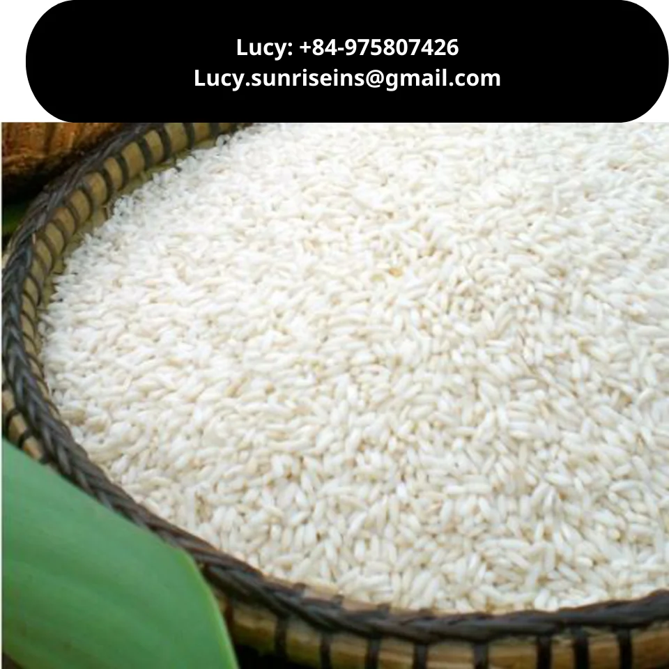 Glutinous Rice Sticky Rice 2023 Vietnam Rice - Wa:0084-975807426 Lucy ...