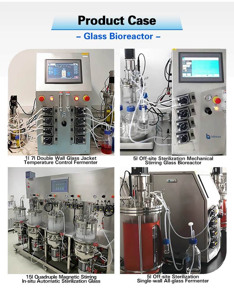LABOAO Lab Scale Bioreactor - 5L Glass Fermenter for Bacteria Cultivation