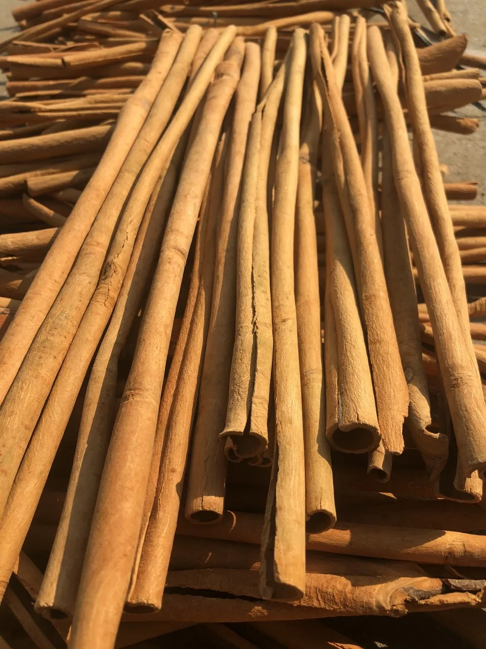 Vietnam Split Cassia Cinnamon | Premium Cinnamon Cassia Vera | Cinamon ...