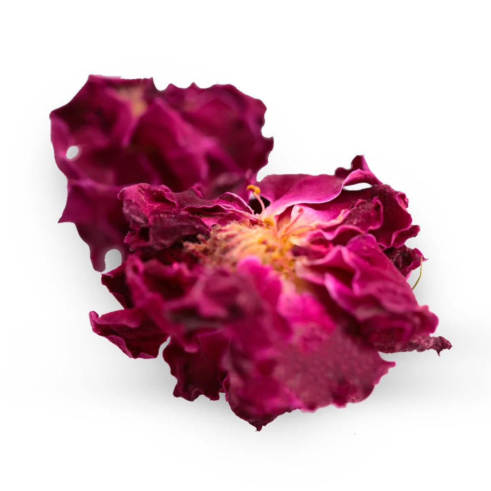 Fresh Cut Dried Red Rose Flower| Alibaba.com