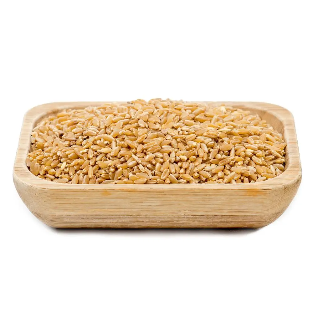 Philippines Golden Soft Wheat With High Gluten - Feed Wheat Grain In ...