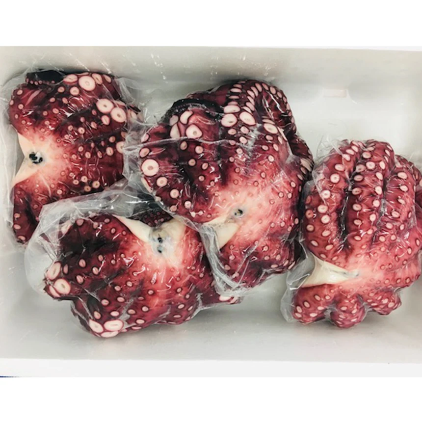 High Quality Baby Octopus - Buy Octopus,Frozen Hairtail Fish Hello ...