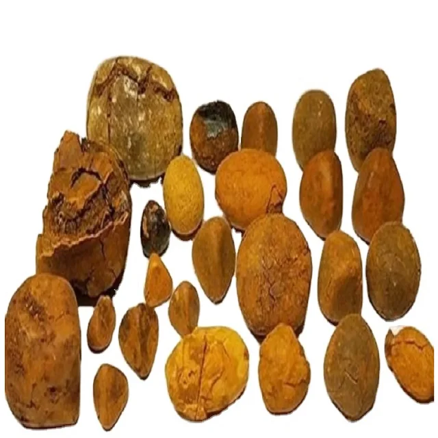 Ox/cow Bladder Gallstones 100% Whole Stones Available Buy Cow Gall ...