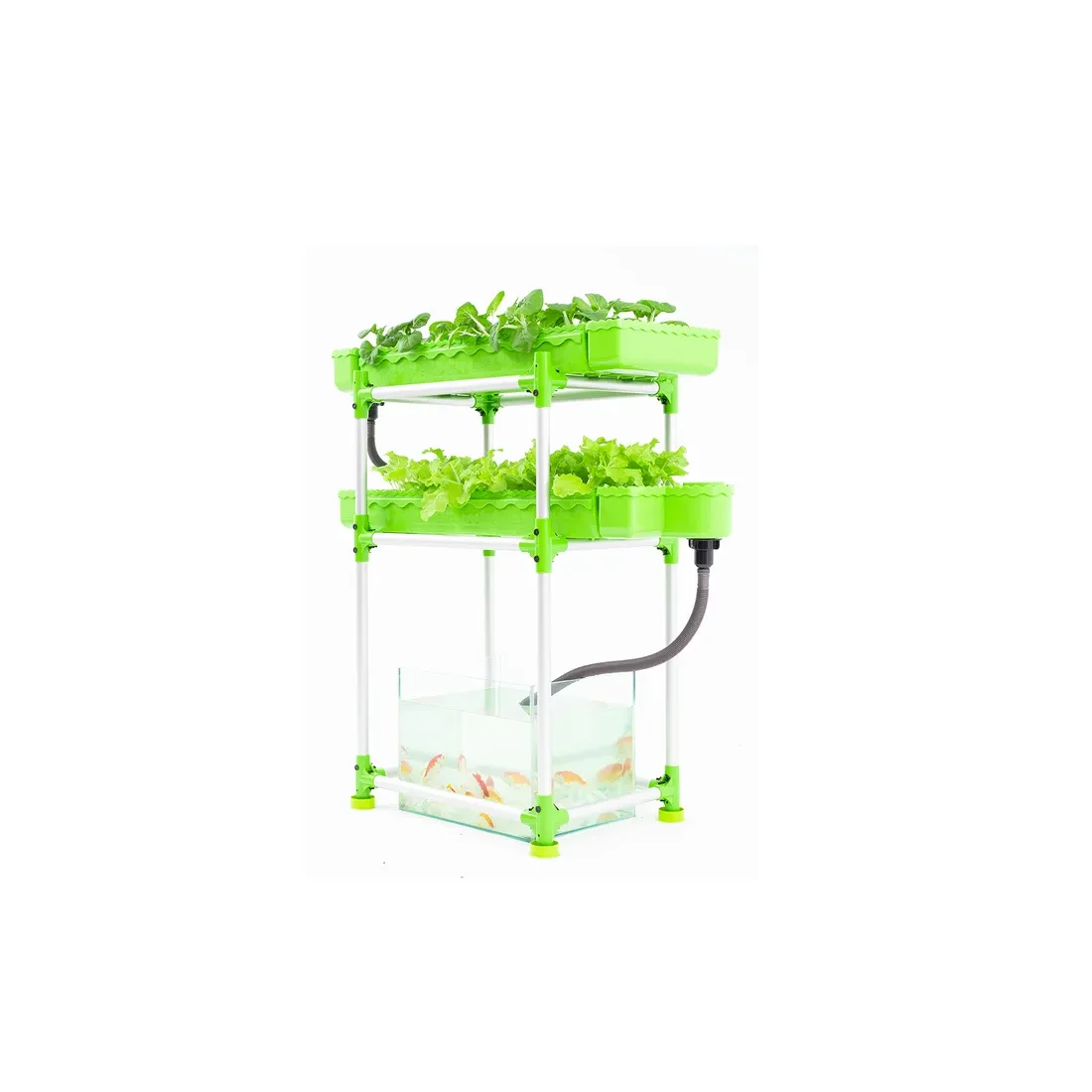 Aquaponic Fish Farming Rotary Filter System Medium Family Set - Outdoor ...