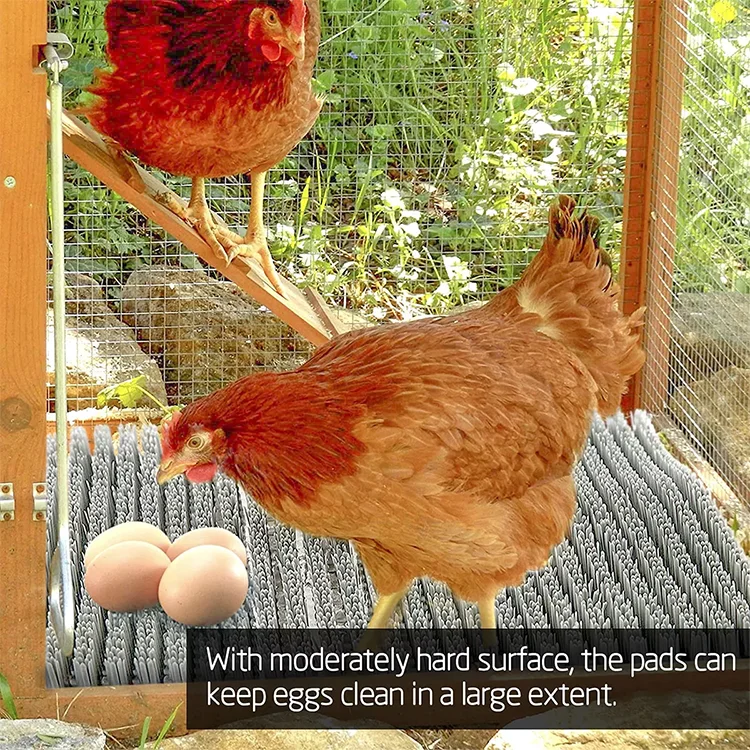 Poultry Husbandry Equipment - Efficient Chicken Nesting Pads