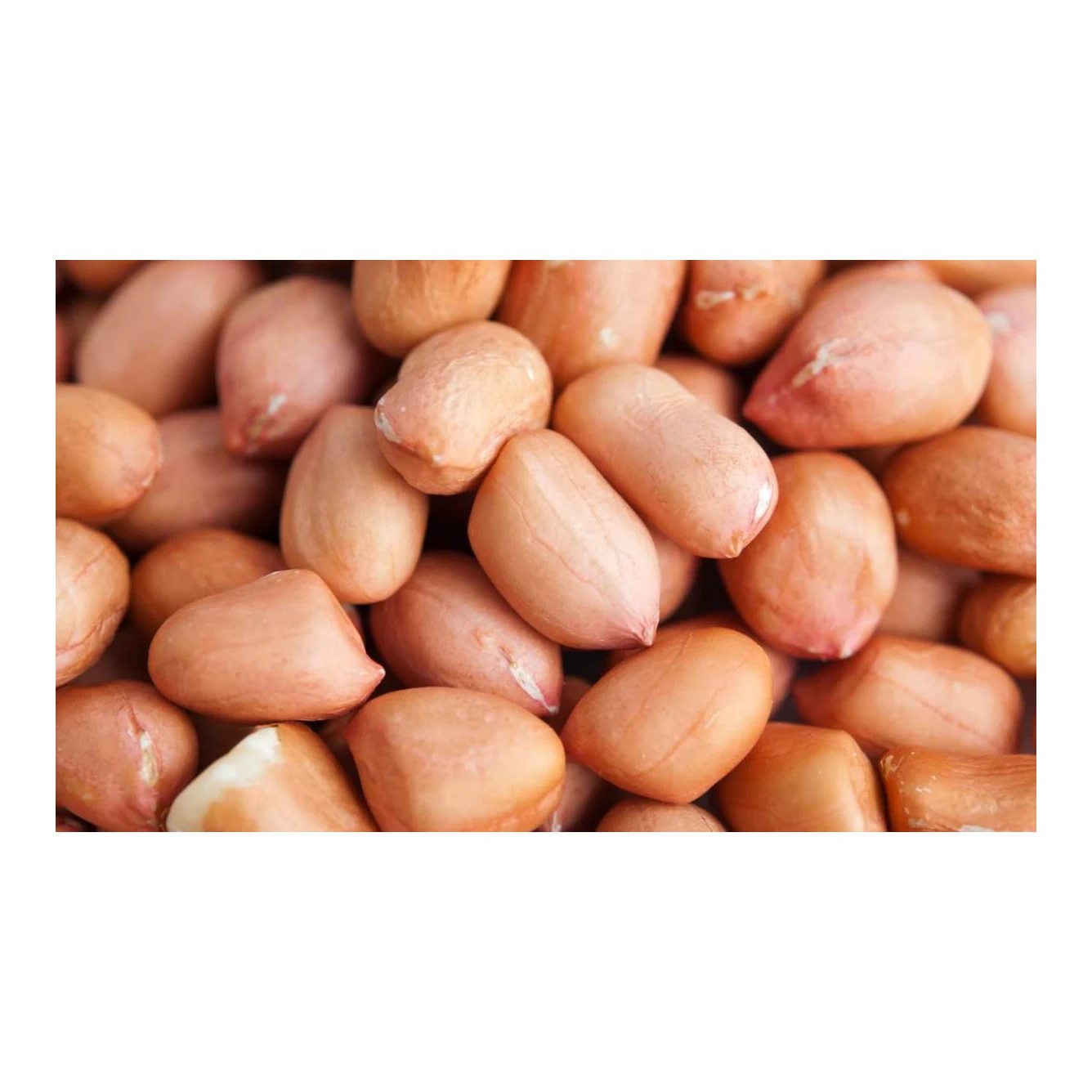 Pure Origin Bold Peanut Kernel 100% Organic Ground Nuts Raw Peanut Buy ...