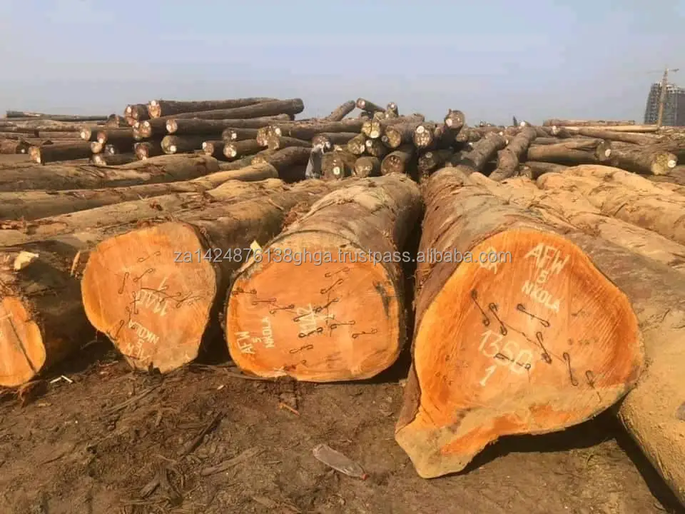 Hot Sale African Hardwood Lumber And Timber Azobe,Pachy,Iroko,Wenge ...