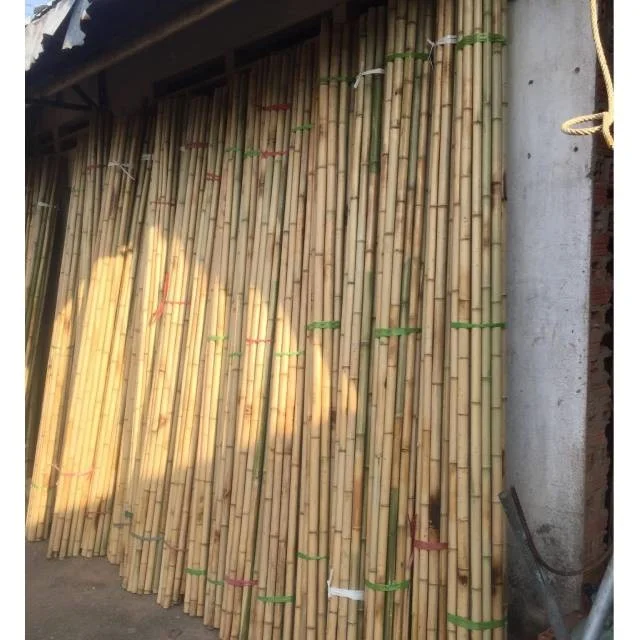 Top Grade Green/yellow Bamboo Poles Big Bamboo Pole For Garden Plant ...