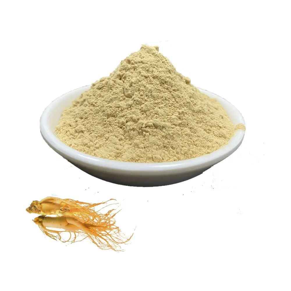 Bulk Supplement Ginseng Root Dry Extract Powder Organic Panax ...