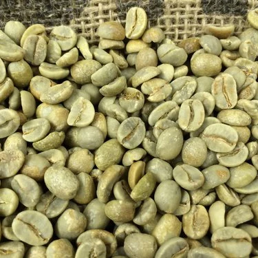 Bulk Thai Green Robusta Coffee / Robusta Green Beans Coffee Wholesale ...