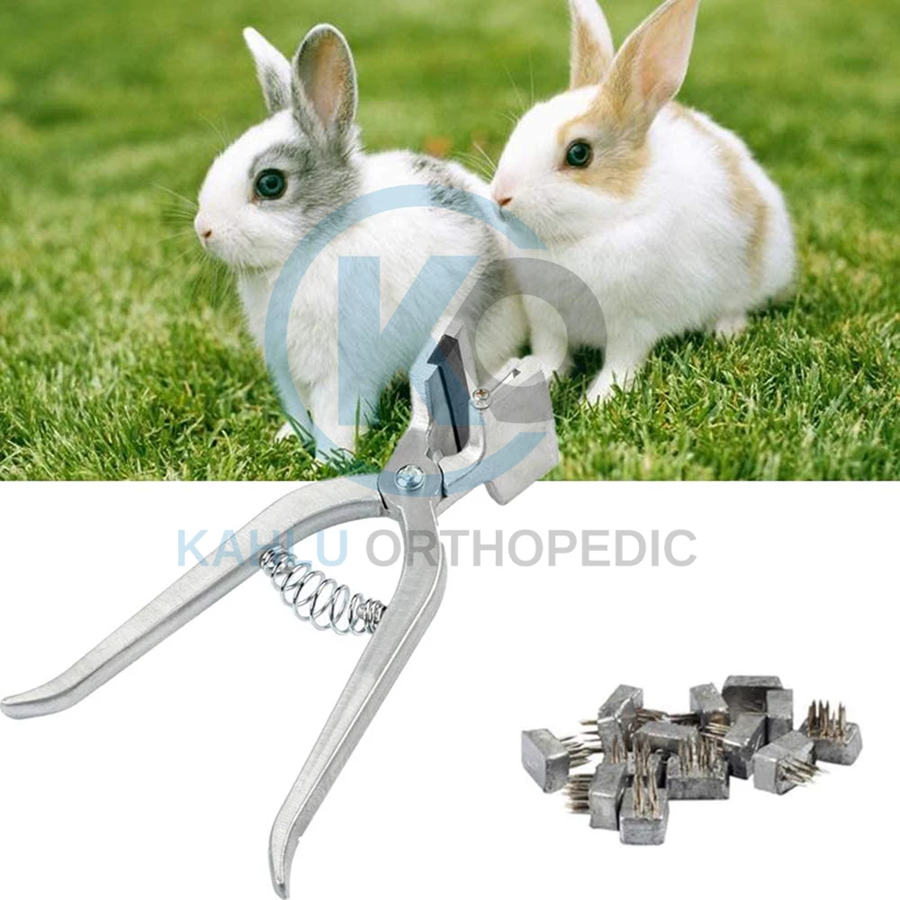 Animal Tattoo Kit for Rabbit Use Pets Management Tools with Reusable ...