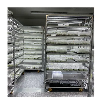 Made In Italy Grow Racks On Wheels With Led Lights Kit - Dc Trolley For ...