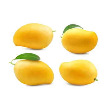 Pakistani Fresh Mangoes Export Premium Quality At Wholesale Price 100% ...