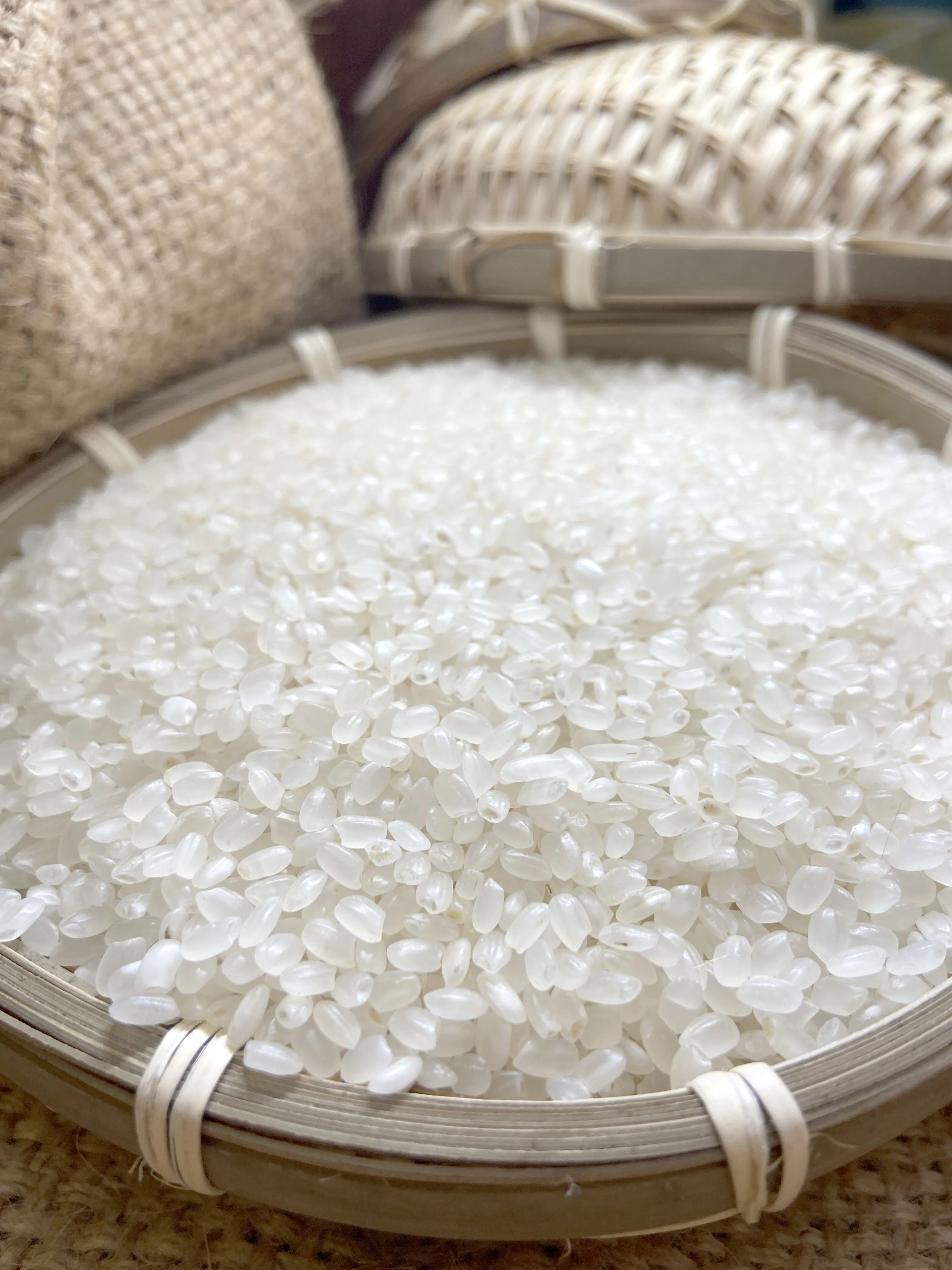 Vietnamese Rice - Japonica Rice - Round Grain White Rice 5% Broken High ...