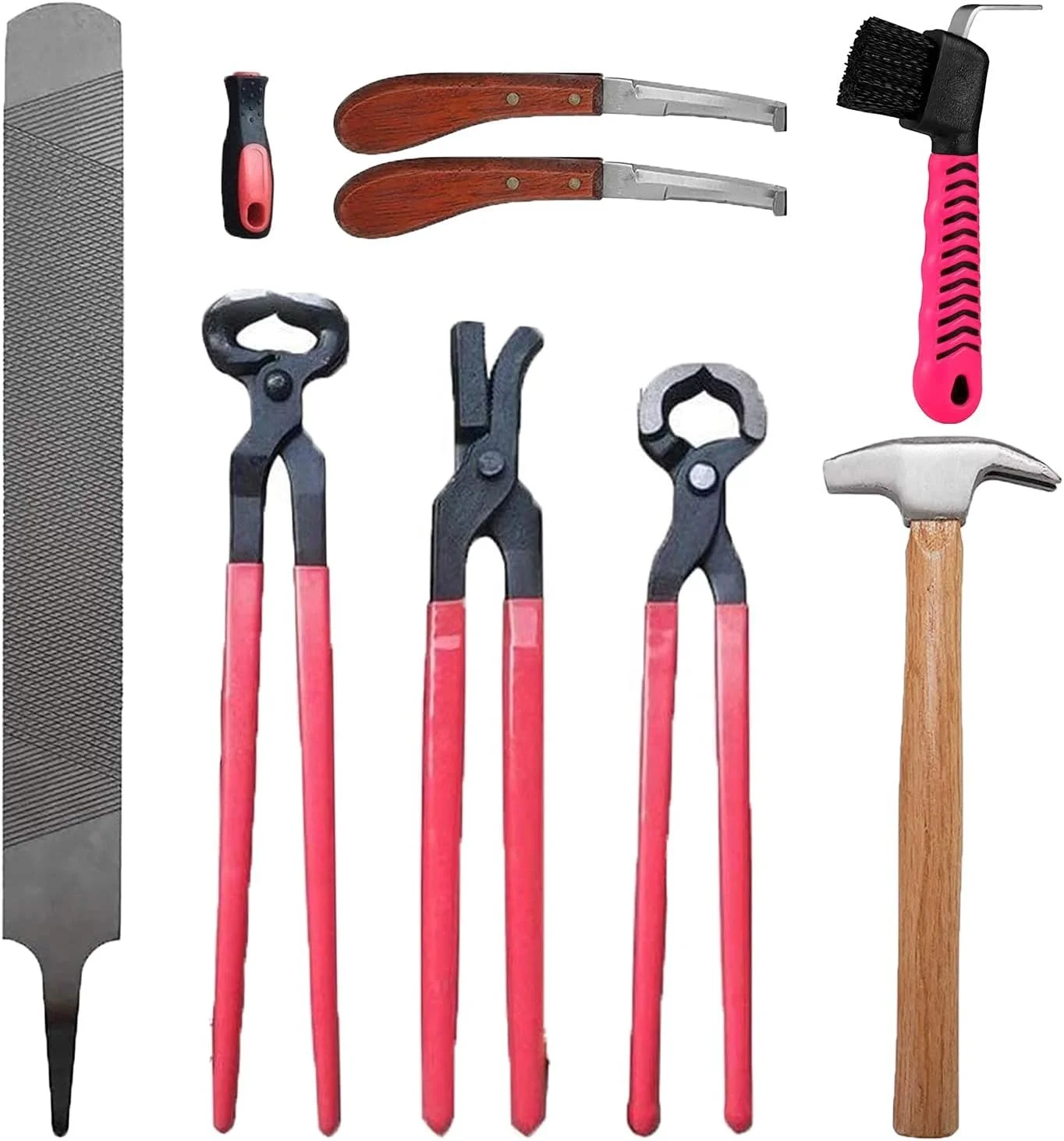 Ariston Heavy Duty Professional Horse Cattle Care Farrier Tool Kit Hoof ...