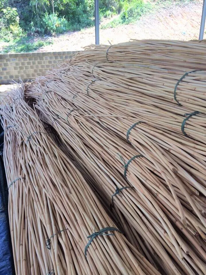 Cheap Price Malacca Rattan Canes for Export from Vietnam