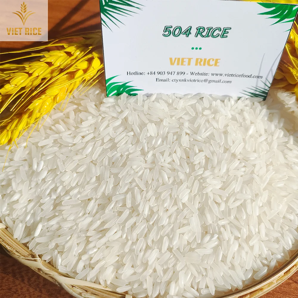 Competitive Price Long Grain White Rice Ir504 - Supplied From A Leading ...