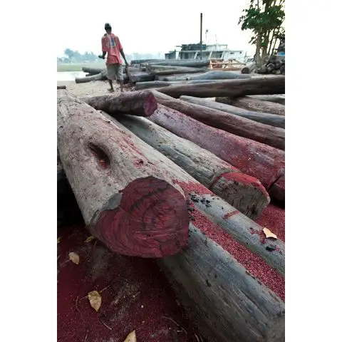 Raw Wood Plank Pine Wood Sawn Timber/acacia Sawn - Buy Timber Dowels In ...