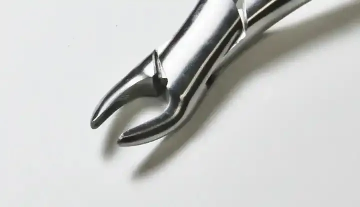 Dental Extracting Forceps American Pattern Children 150s Stainless ...