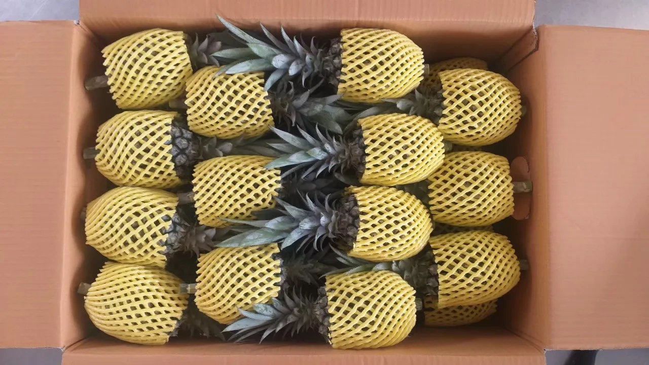 Mini Pineapple From Chiang Rai,Thailand Sweet Phu Lae Premium Grade ...